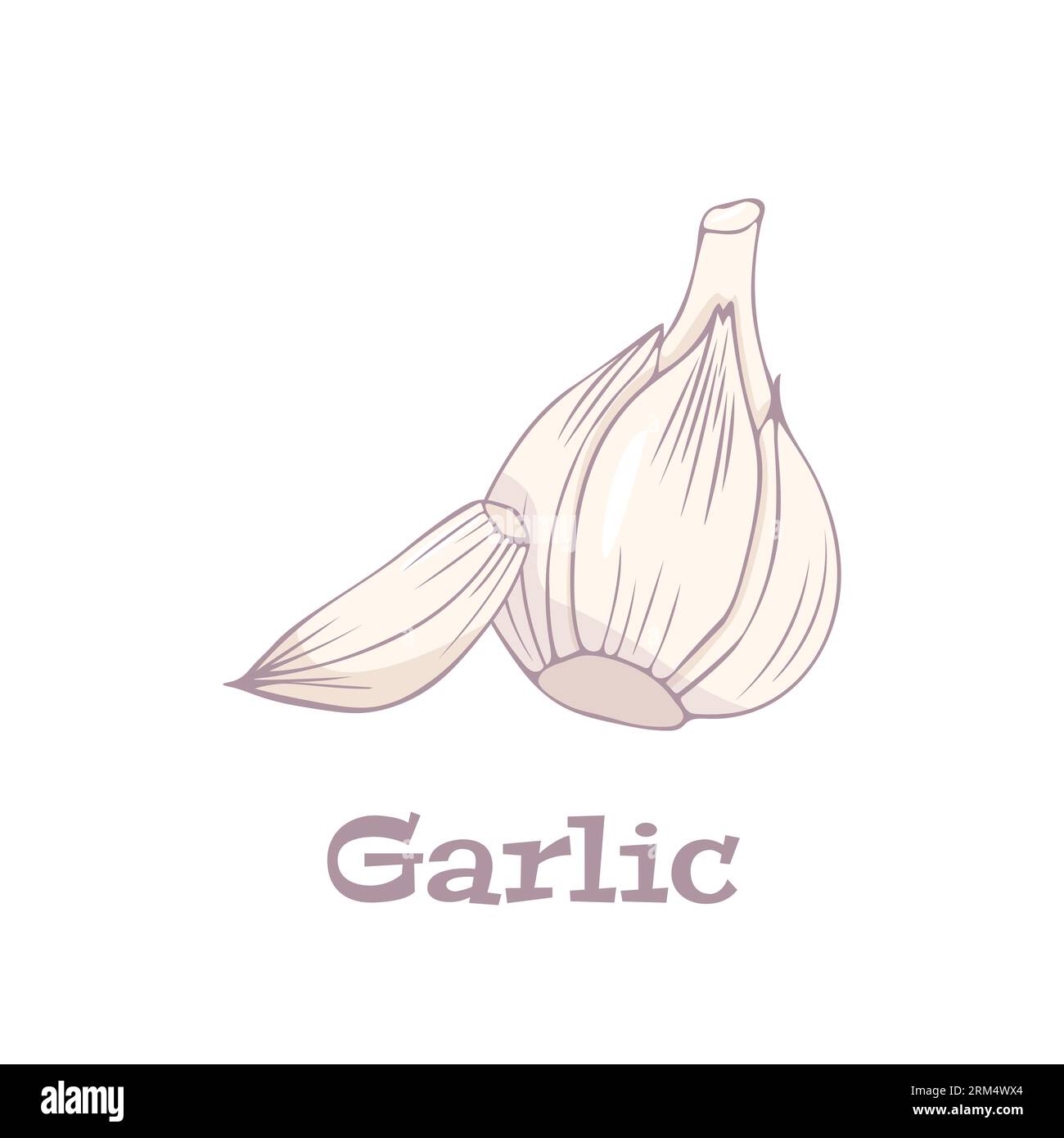 Whole cloves isolated Stock Vector Images - Alamy