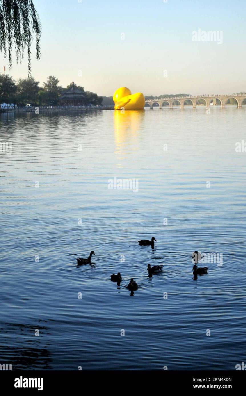 Inflatable duck lake hi-res stock photography and images - Alamy