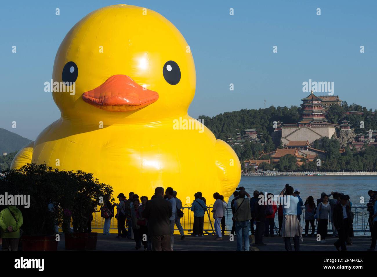 Giant inflatable duck hi-res stock photography and images - Alamy