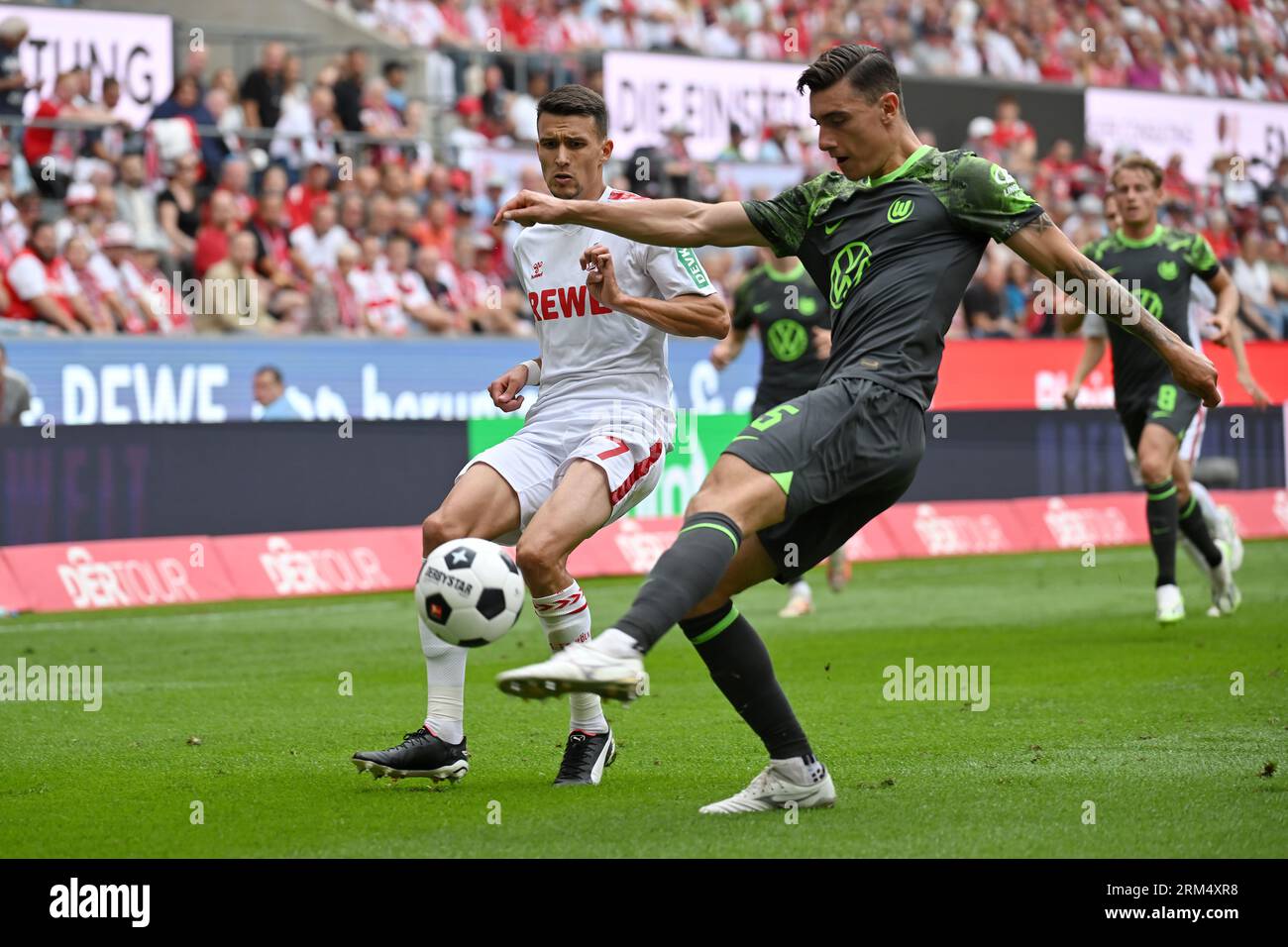 Cologne, Germany. 26th Aug, 2023. Dejan Ljubicic (L) of 1. FC Koln vies ...