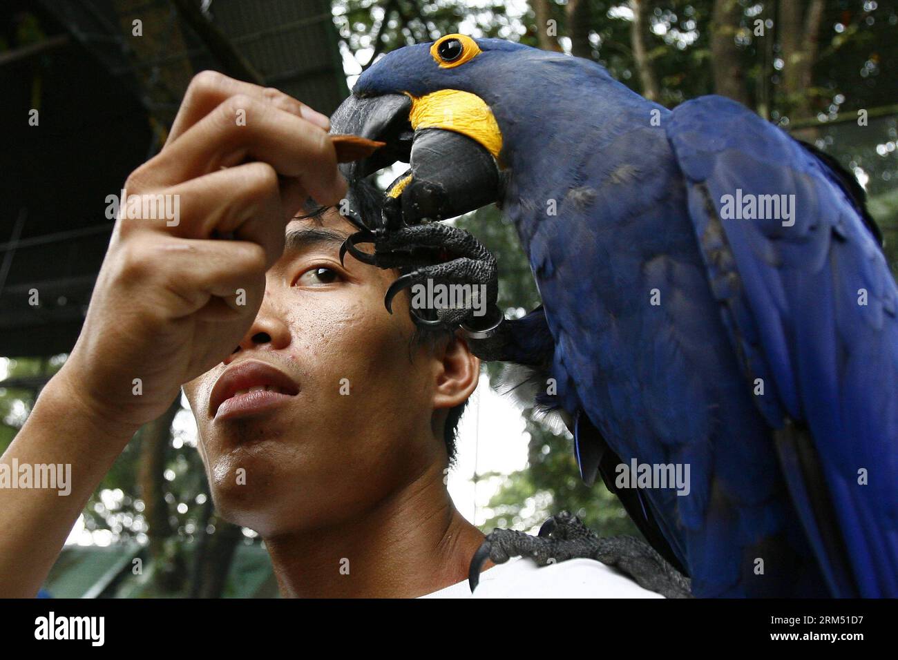 Macaw breeding center hi-res stock photography and images - Alamy