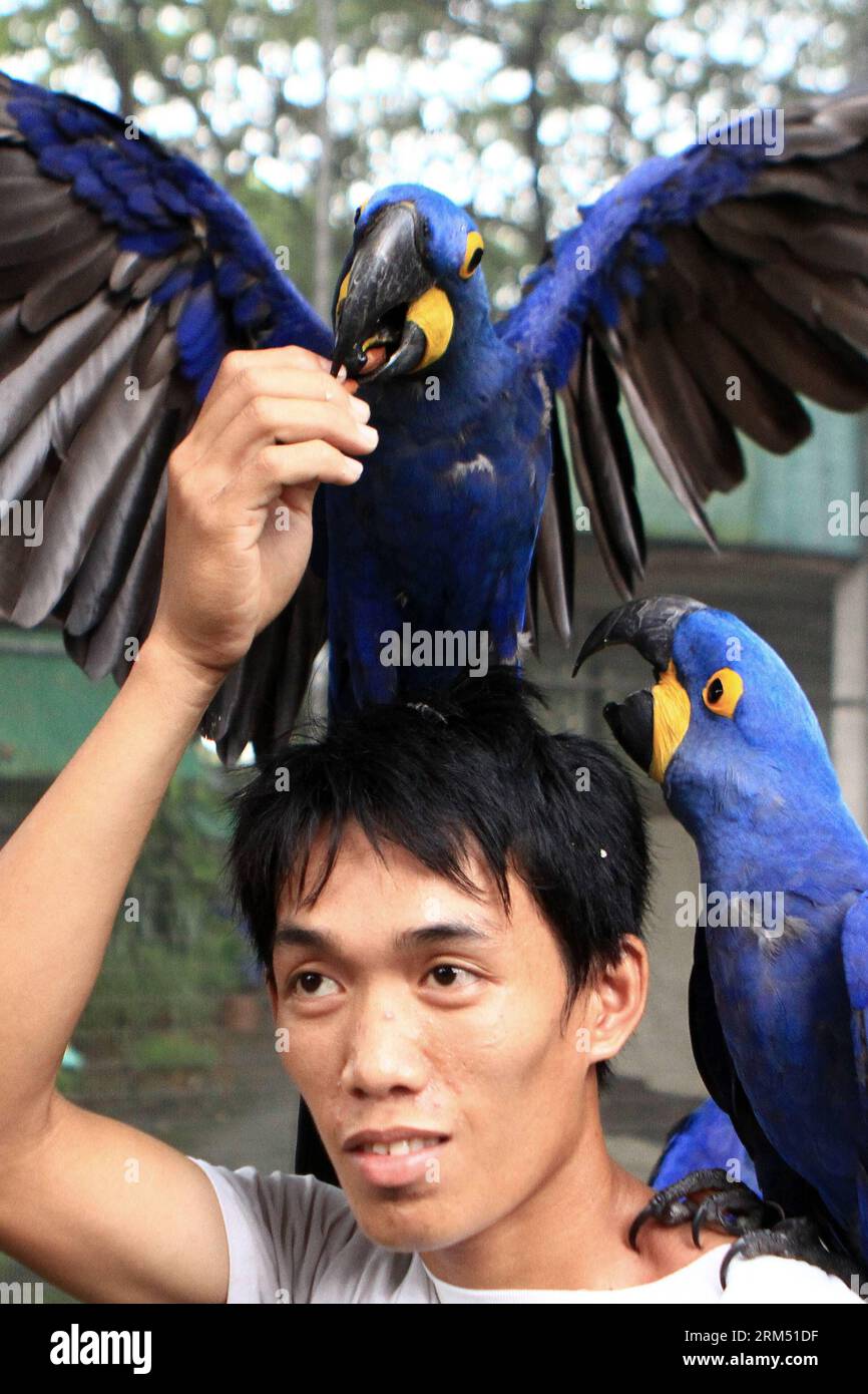 Macaw breeding center hi-res stock photography and images - Alamy