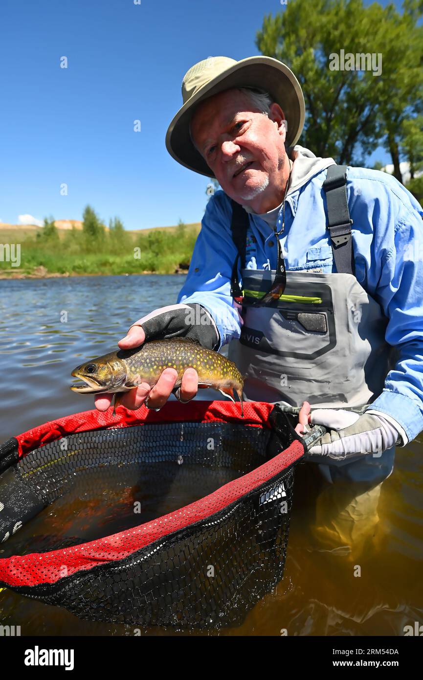 An angler lifts a large brook trout caught and released from the Fraser ...