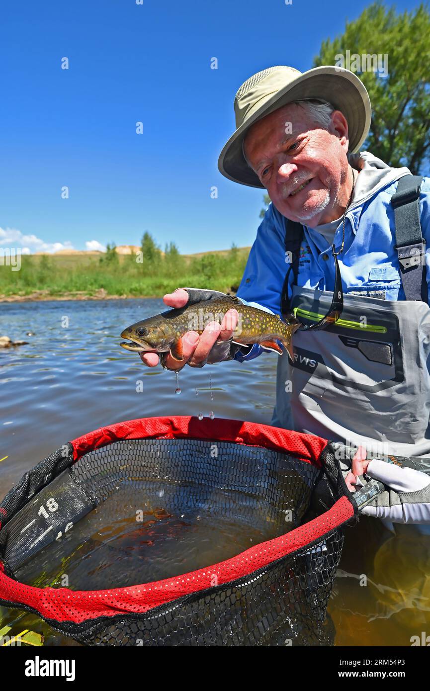 An angler lifts a large brook trout caught and released from the Fraser ...