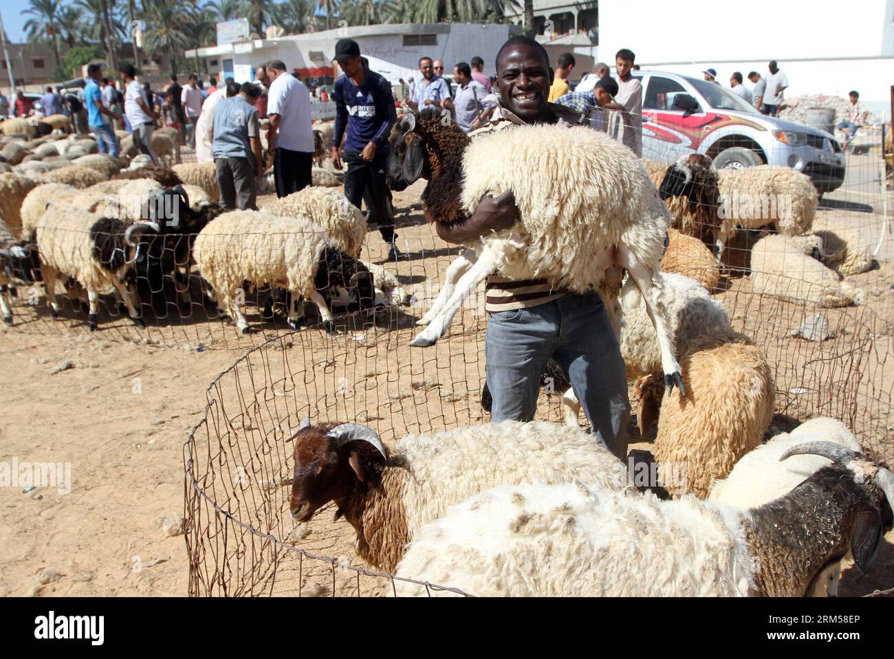 Opfertier hi-res stock photography and images - Alamy