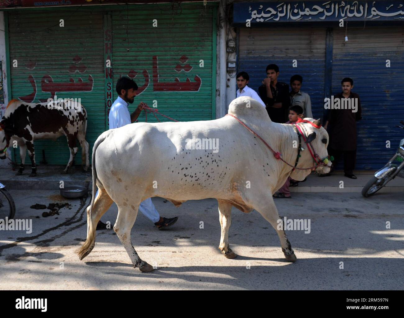 Du pakistan hi-res stock photography and images - Alamy