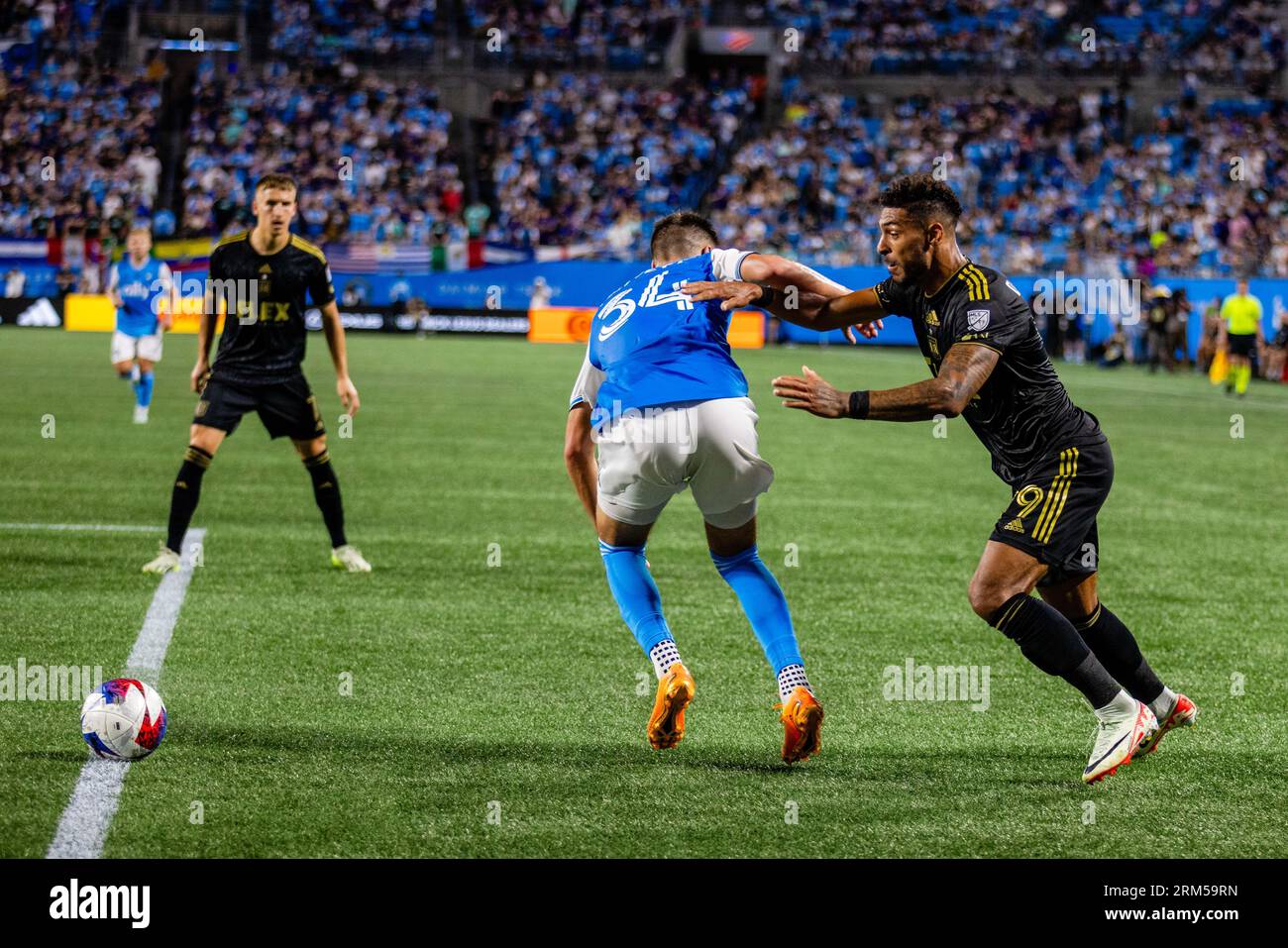 Privett hi-res stock photography and images - Alamy