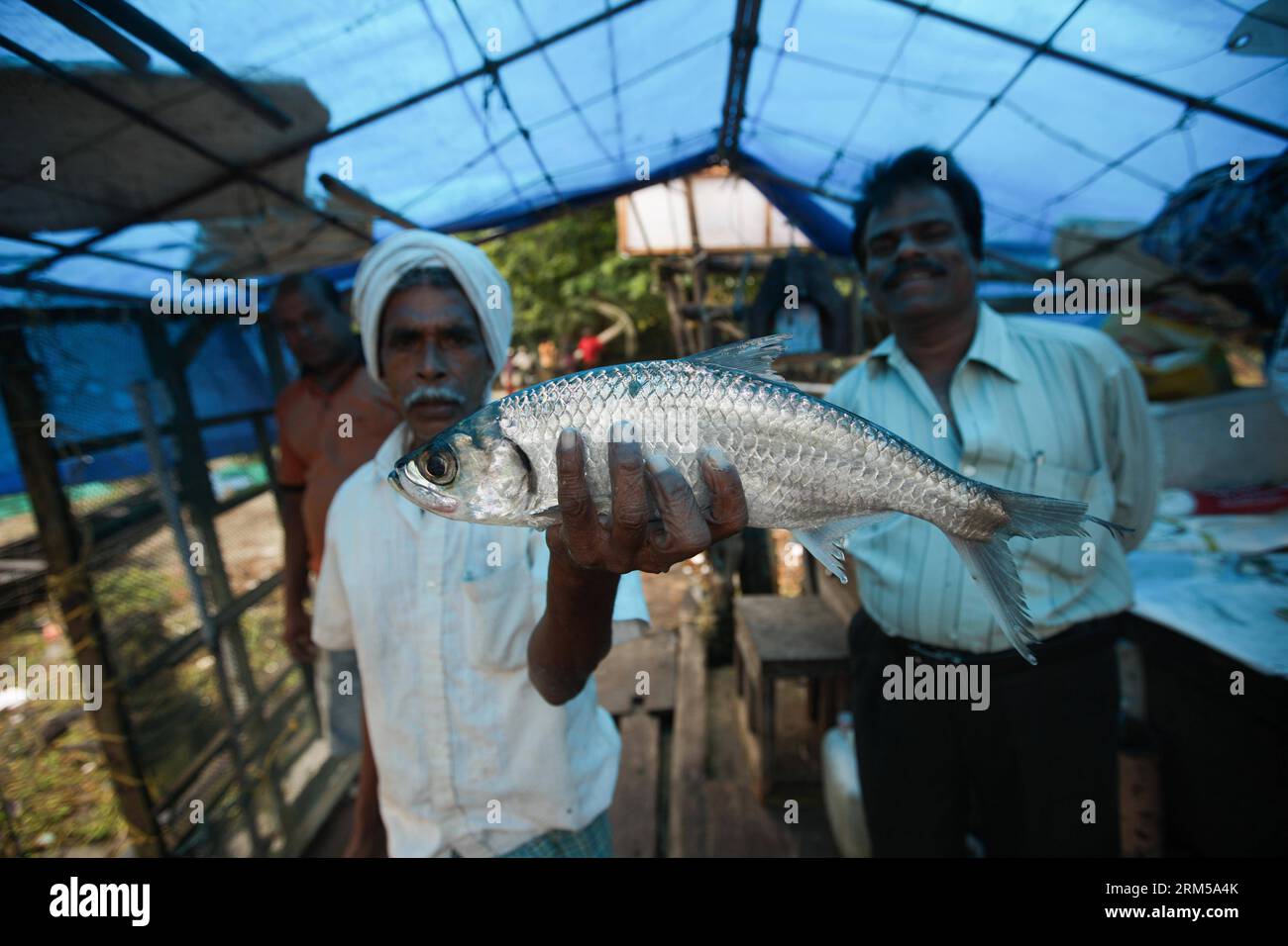 Fixed fang hi-res stock photography and images - Alamy