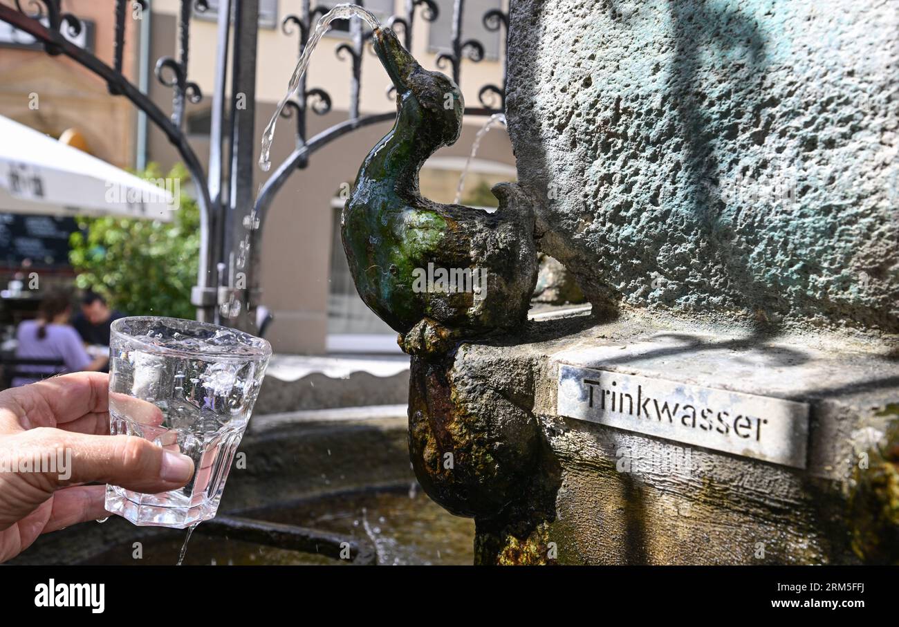 Stuttgart, Germany. 24th Aug, 2023. At the Hans-Im-Glück drinking ...