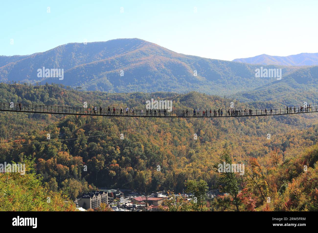Gatlinburg skybridge hi-res stock photography and images - Alamy