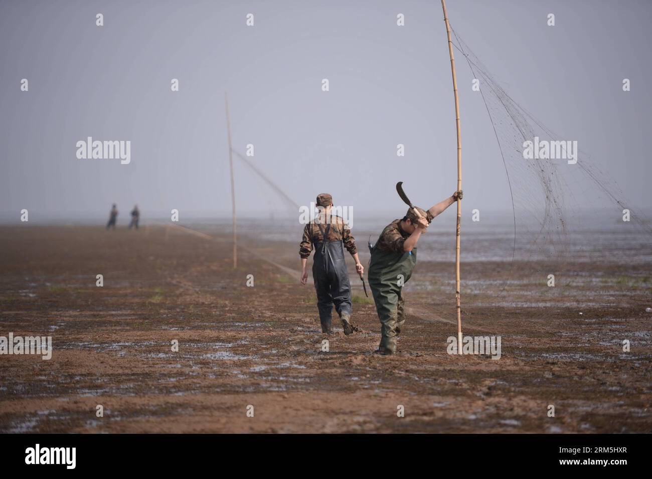 Net hunting cut hi-res stock photography and images - Alamy