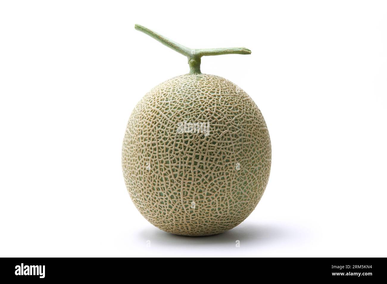 Earl's melon for presentation photographed against a white background ...