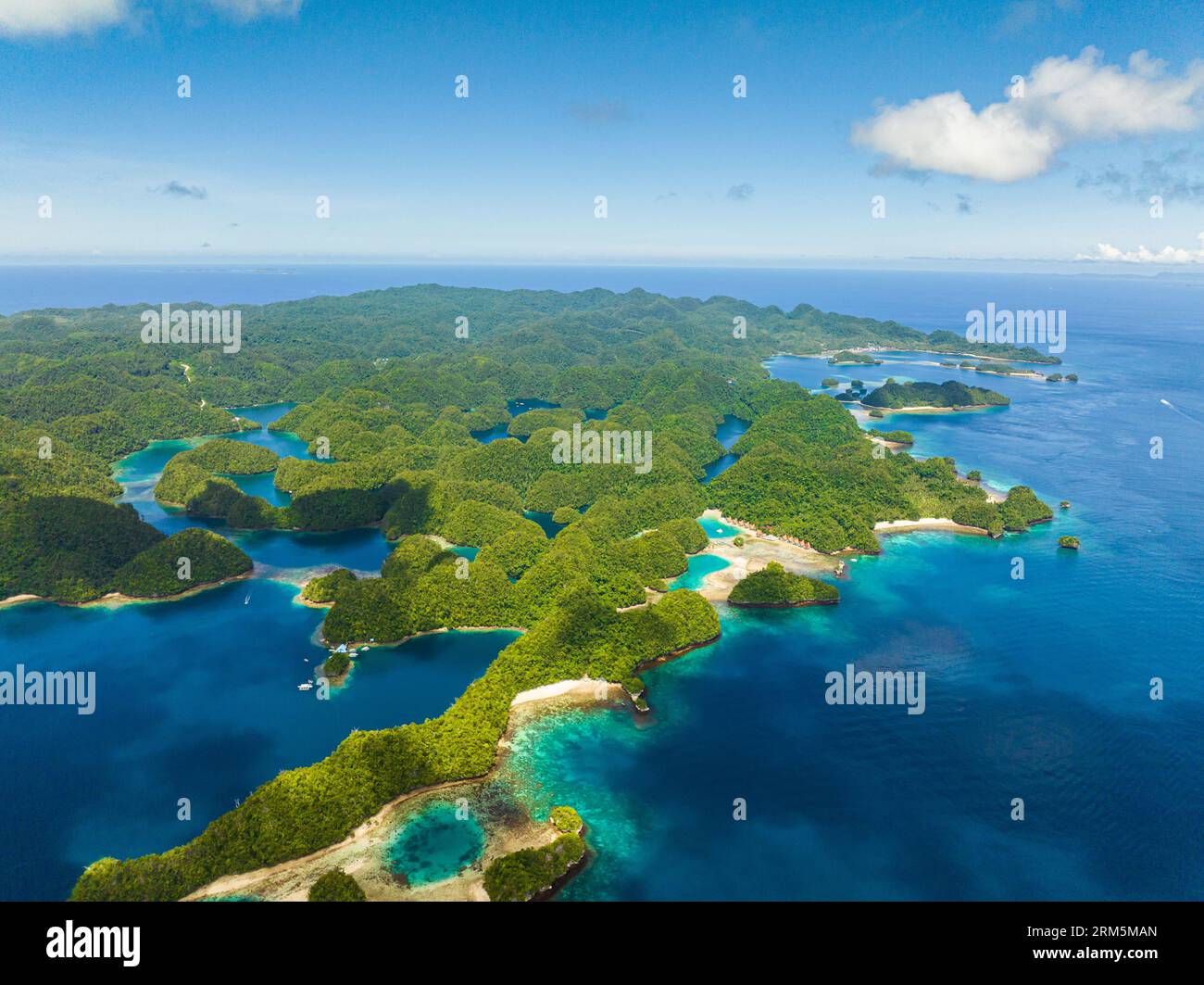 Natural composition of rainforest and pools of lagoon. Corals in clear ...