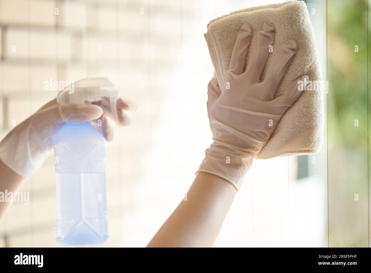 Woman cleaning rubber gloves window hi-res stock photography and images ...