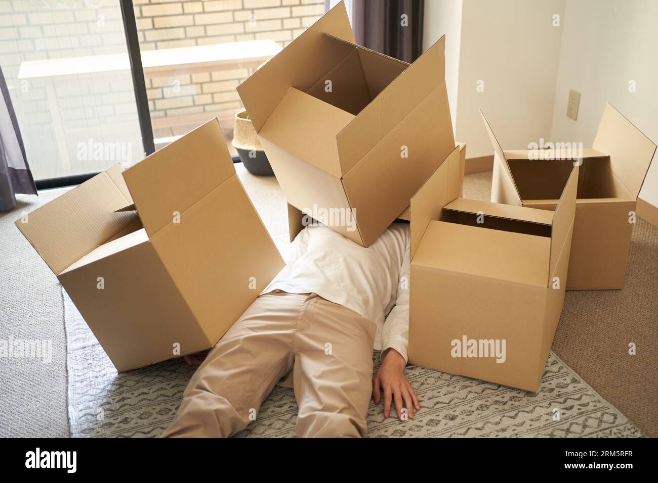 Living in a cardboard box hi-res stock photography and images - Alamy