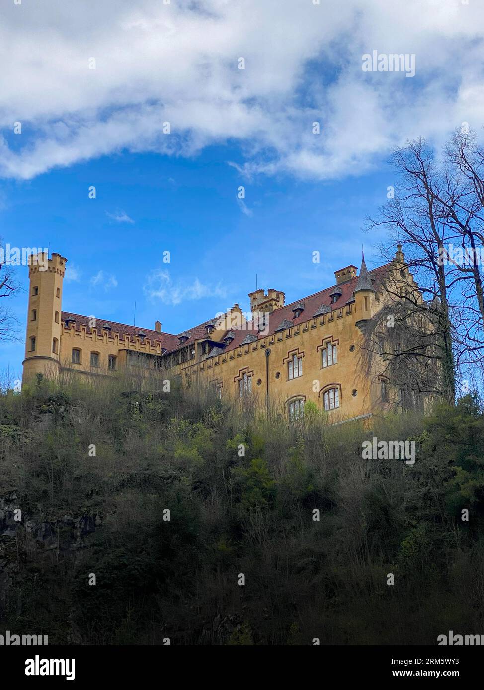 Hohenschwangau Castle, a 19th-century palace in southern Germany Stock ...