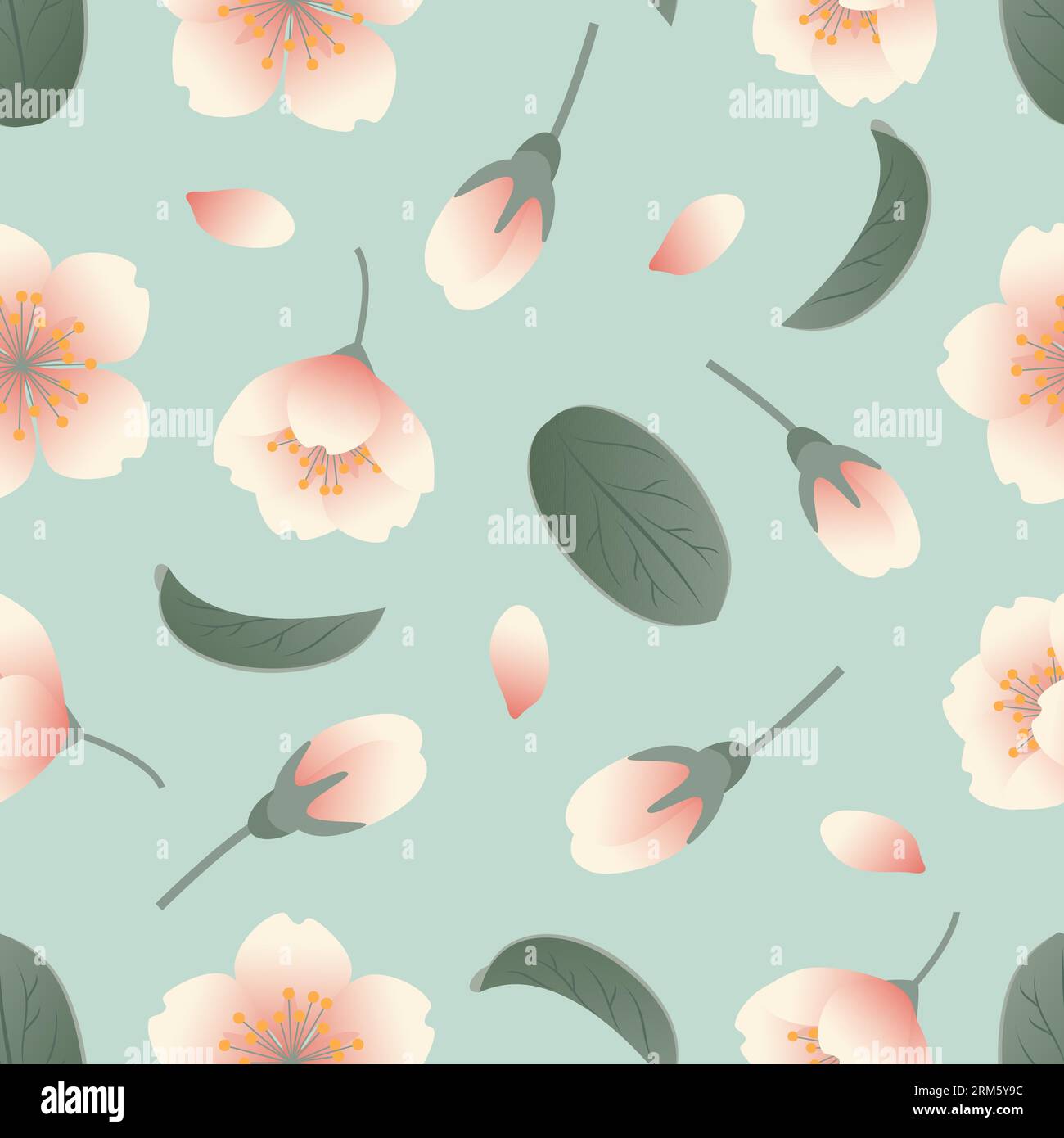 Sakura flowers, buds and leaves. Seamless pattern. Botanical ...