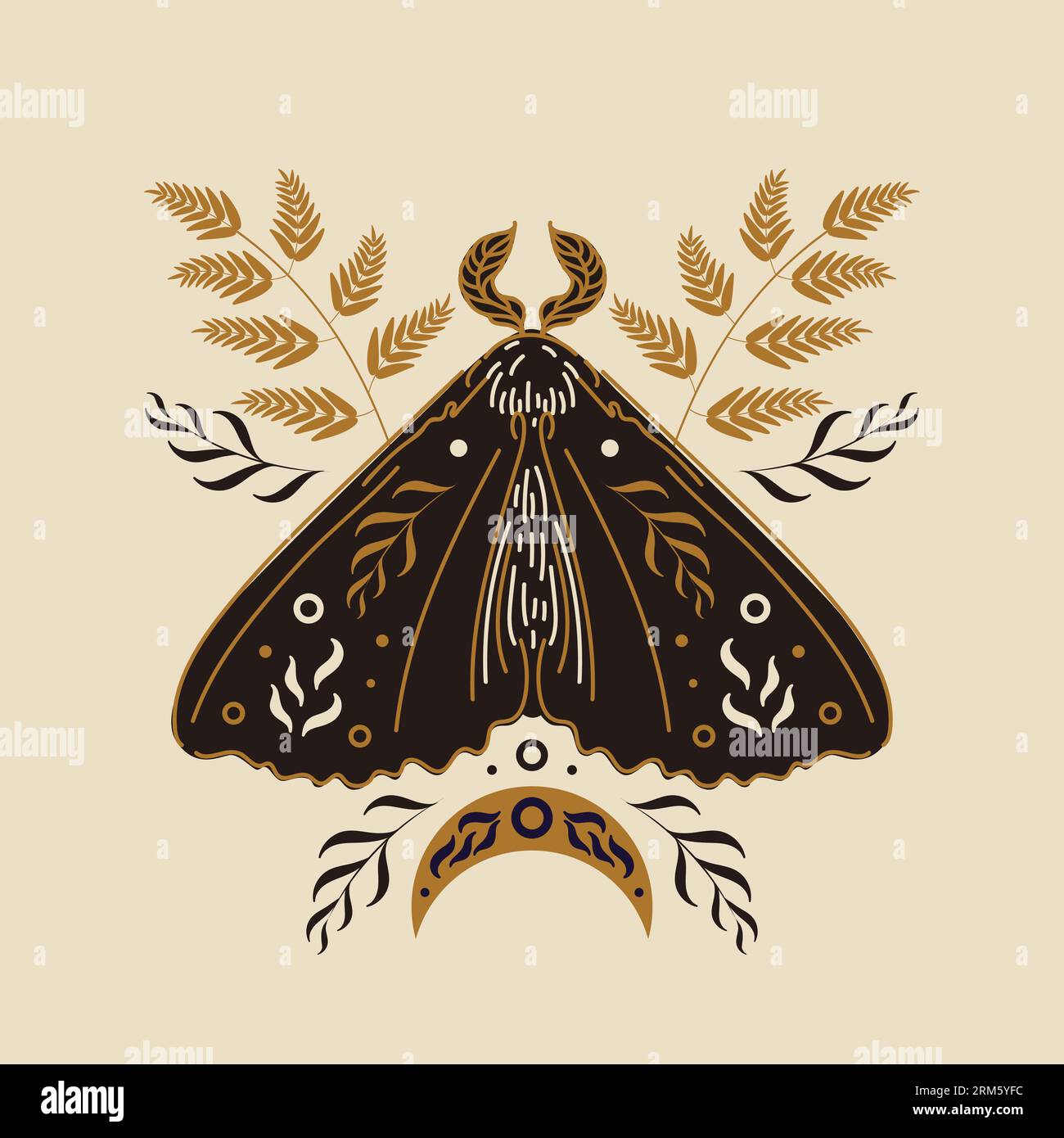 Moth, phases of the moon and stars, wormwood and fern. Vector ...