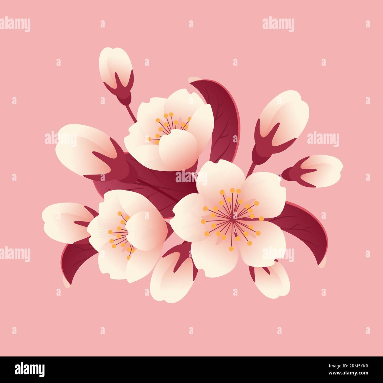 Bouquet of sakura flowers, buds and leaves. Botanical illustration in ...