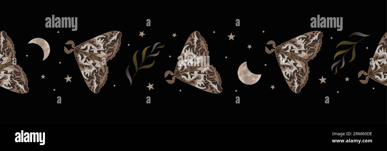Moth, phases of the moon and stars, herbs. Seamless border, vector illustration in realistic ...