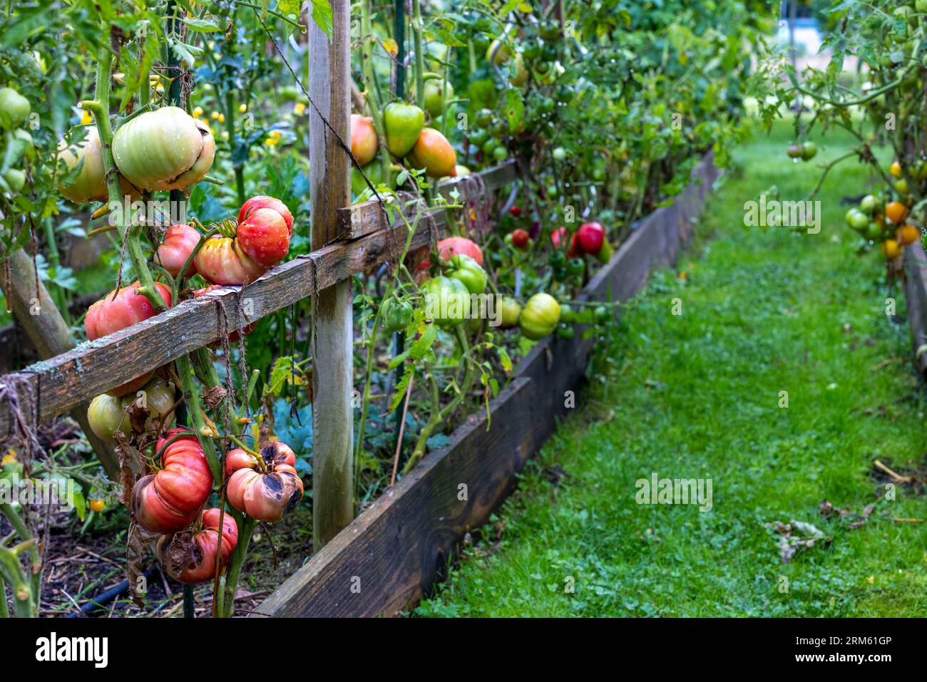 Different Types Of Calls Hi res Stock Photography And Images Alamy Different Types Of Calls Hi res Stock Photography And Images Alamy