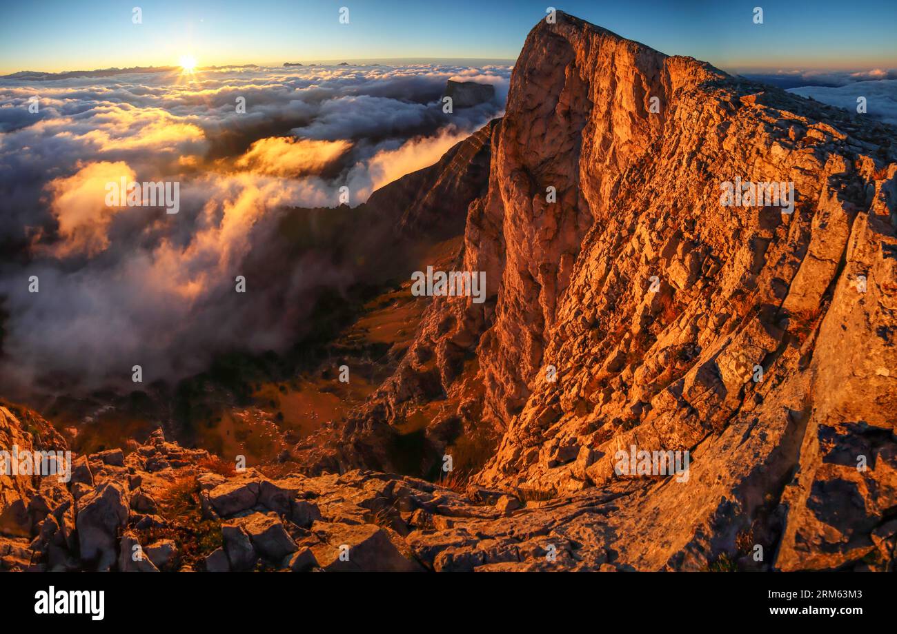 Guillaume laget hi-res stock photography and images - Alamy