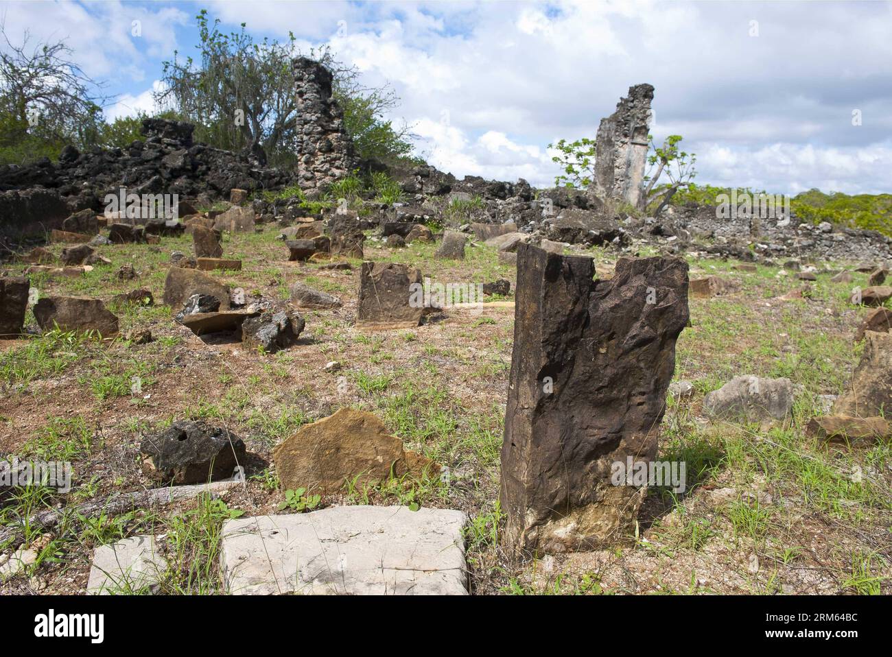 Chinese trade 13th century hi-res stock photography and images - Alamy
