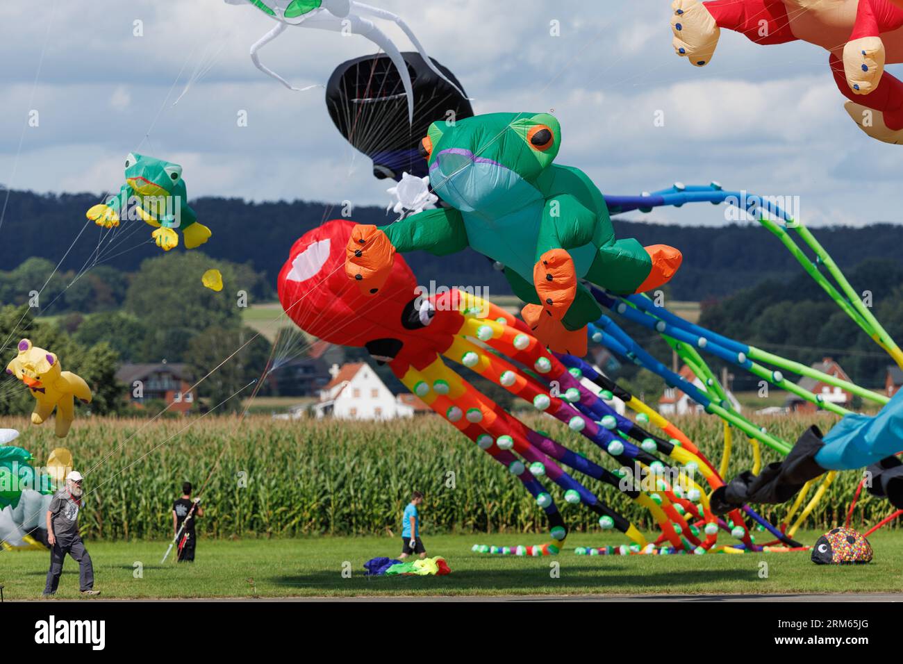 Melle, Germany. 26th Aug, 2023. View of kites in the sky above the ...