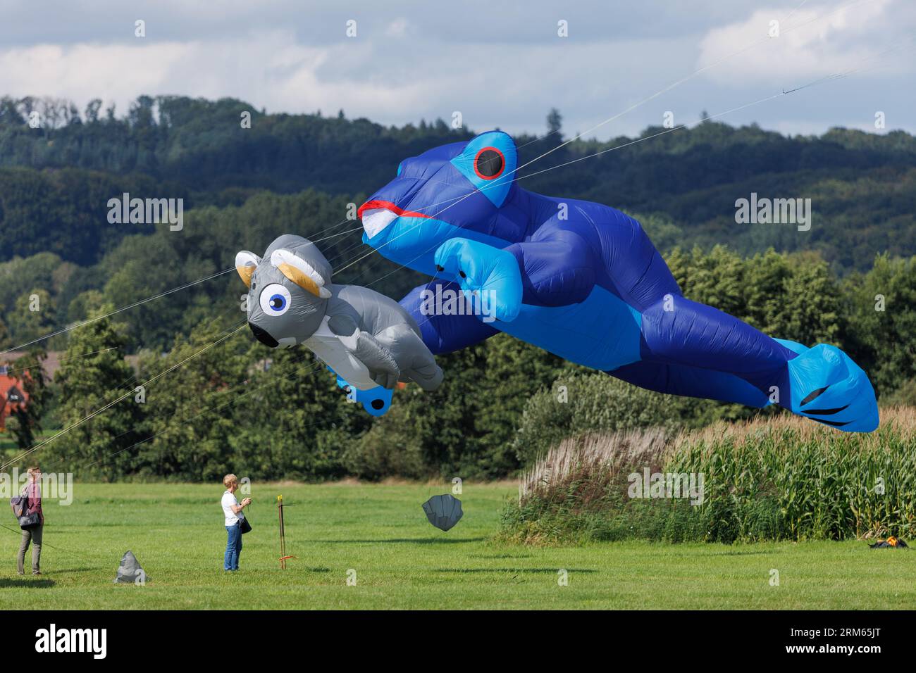 Melle, Germany. 26th Aug, 2023. View of two kites in the sky above the ...