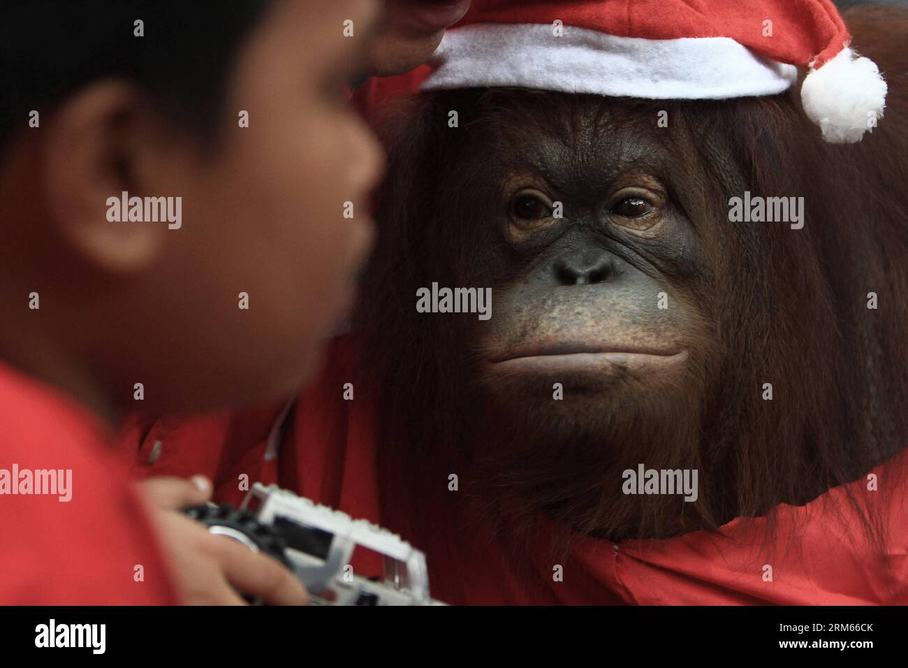 Toy distribution children hi-res stock photography and images - Alamy