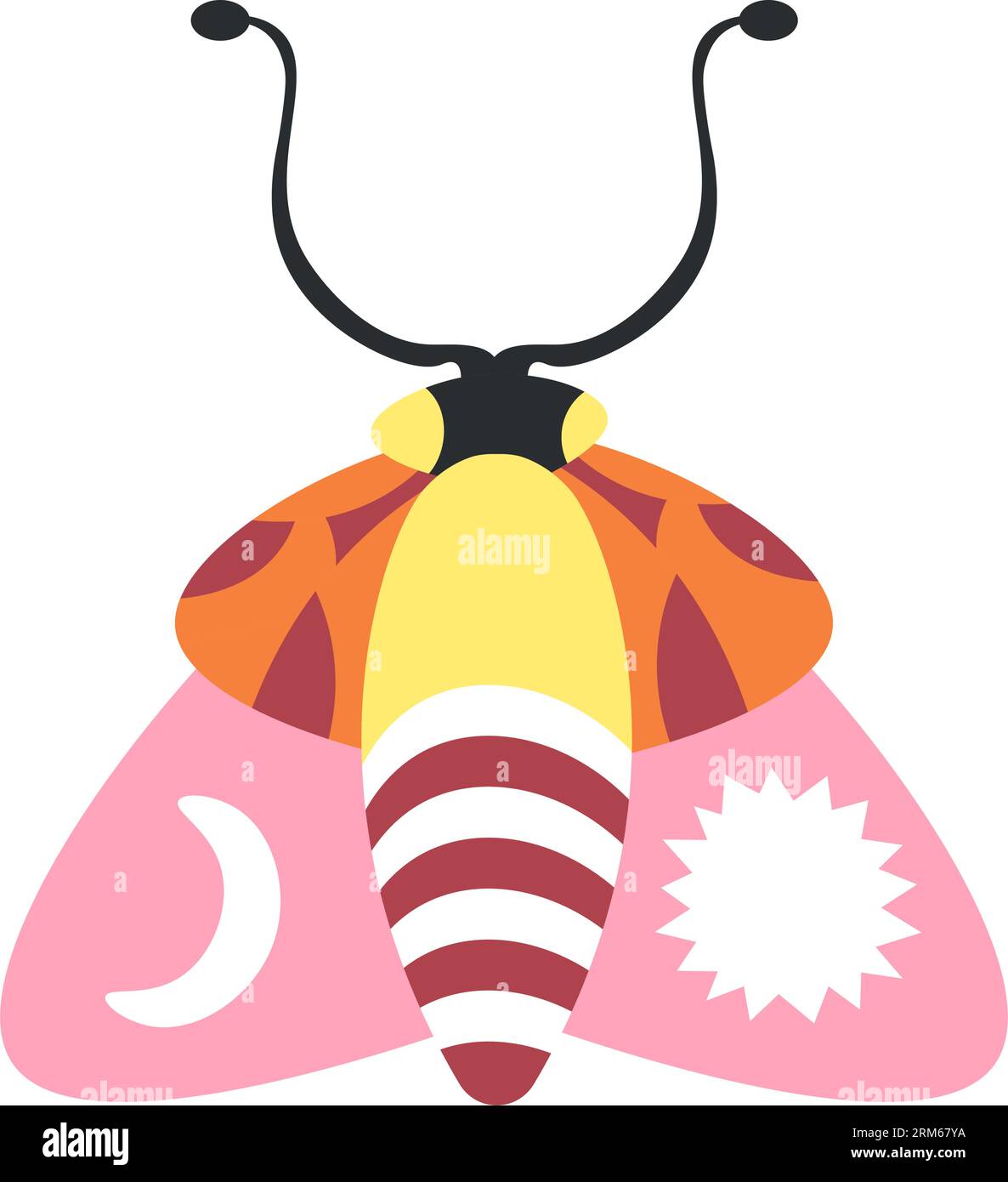 Moth insect antenna Stock Vector Images - Alamy