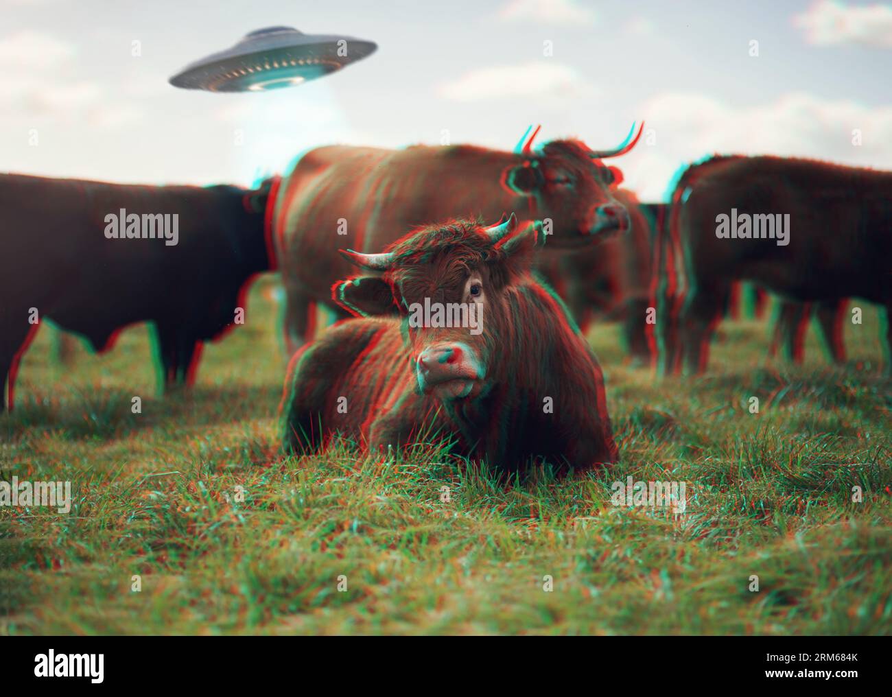 Ufo, futuristic and spaceship with cow on farm for science fiction ...