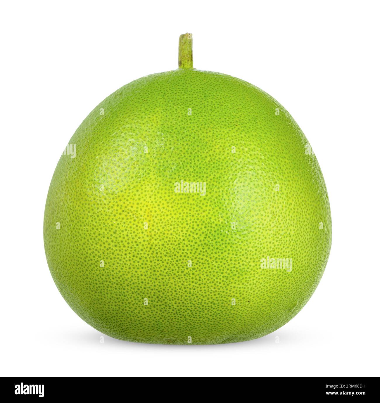 Pomelo citrus maxima white hi-res stock photography and images - Alamy