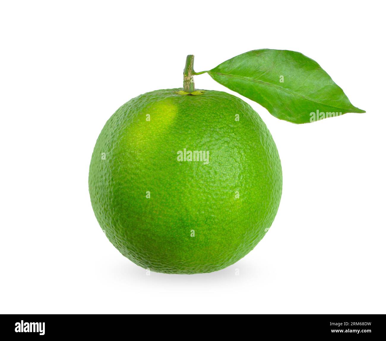 Acidless orange isolated on white background. Acidless orange clipping ...