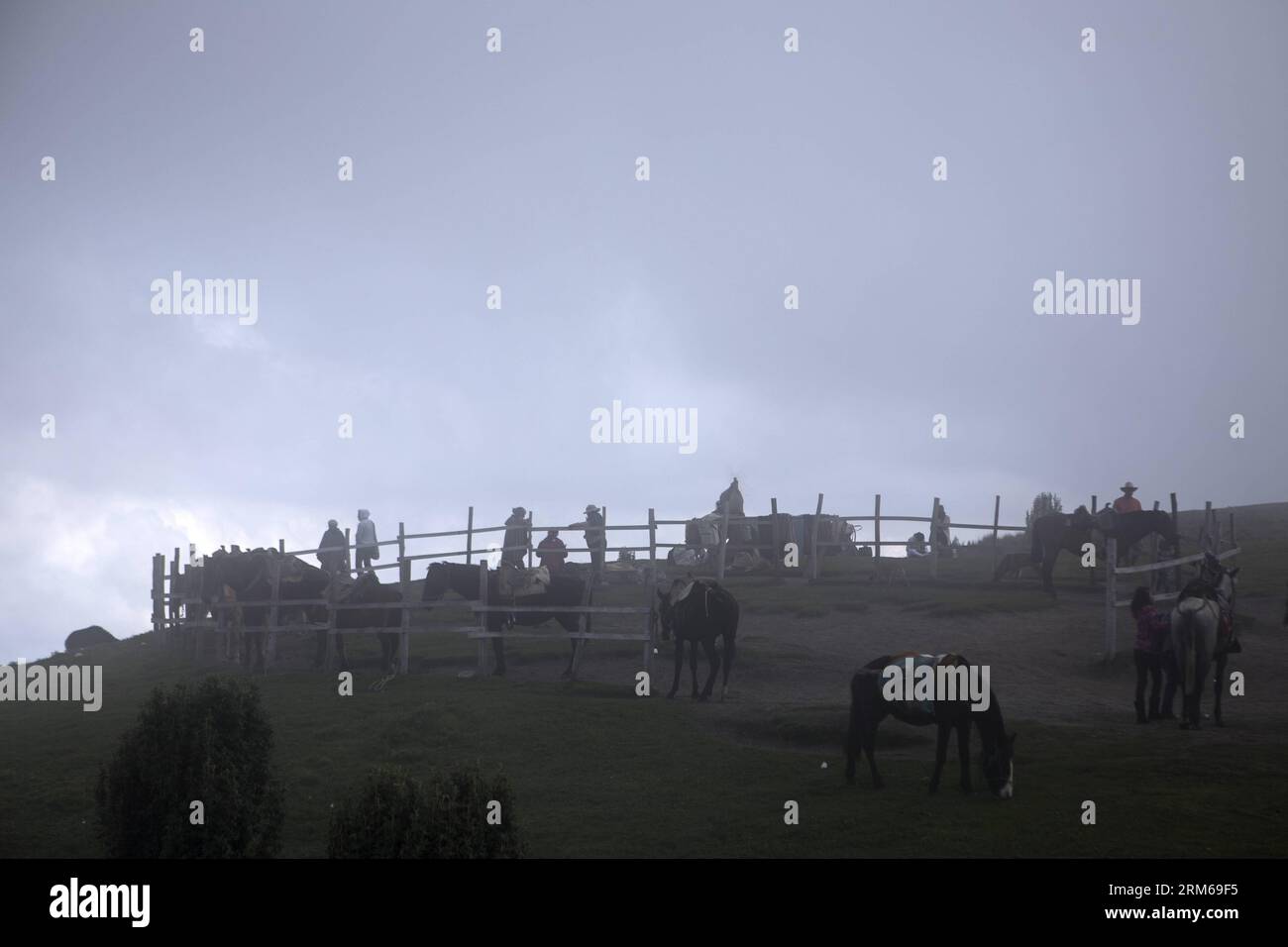 Horses are seen at the Pichincha Volcano in Quito, Ecuador, on Dec. 22 ...