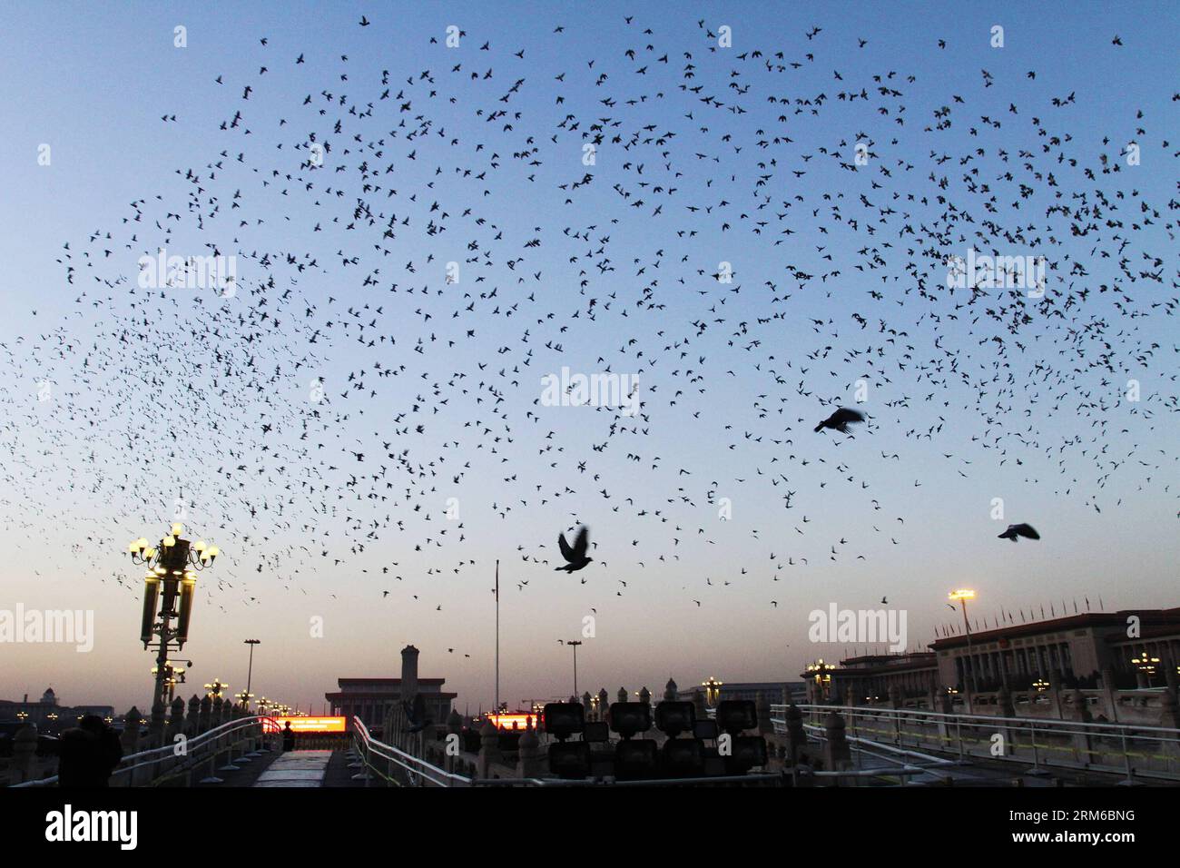 (140101) -- BEIJING, Jan. 1, 2014 (Xinhua) -- Doves fly over the Tian ...