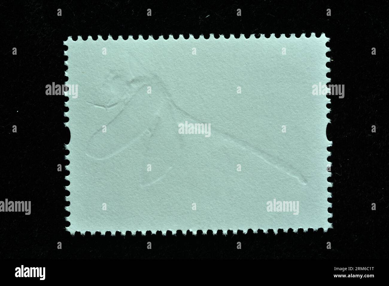 CHINA - CIRCA 2023: A stamps printed in China shows 2023-15 insect ...