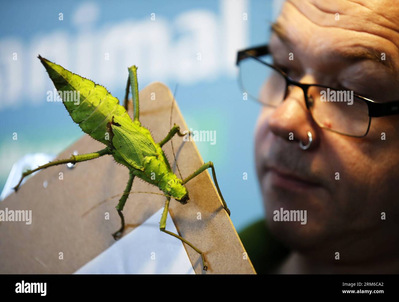 (140102) -- LONDON, Jan. 2, 2014 (Xinhua) -- A keeper records a Jungle ...