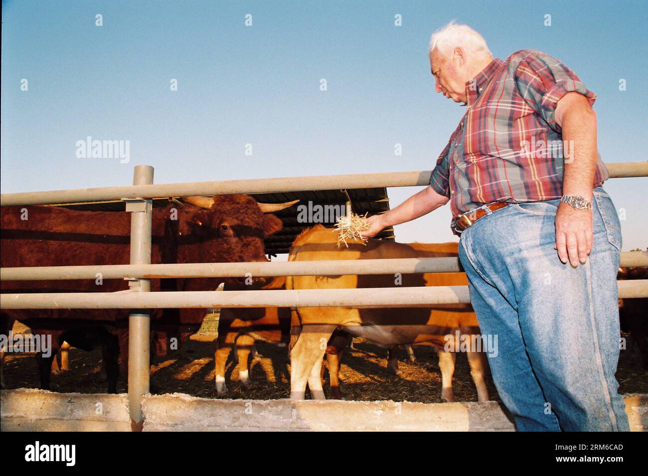 Ariel sharon 2001 hi-res stock photography and images - Alamy