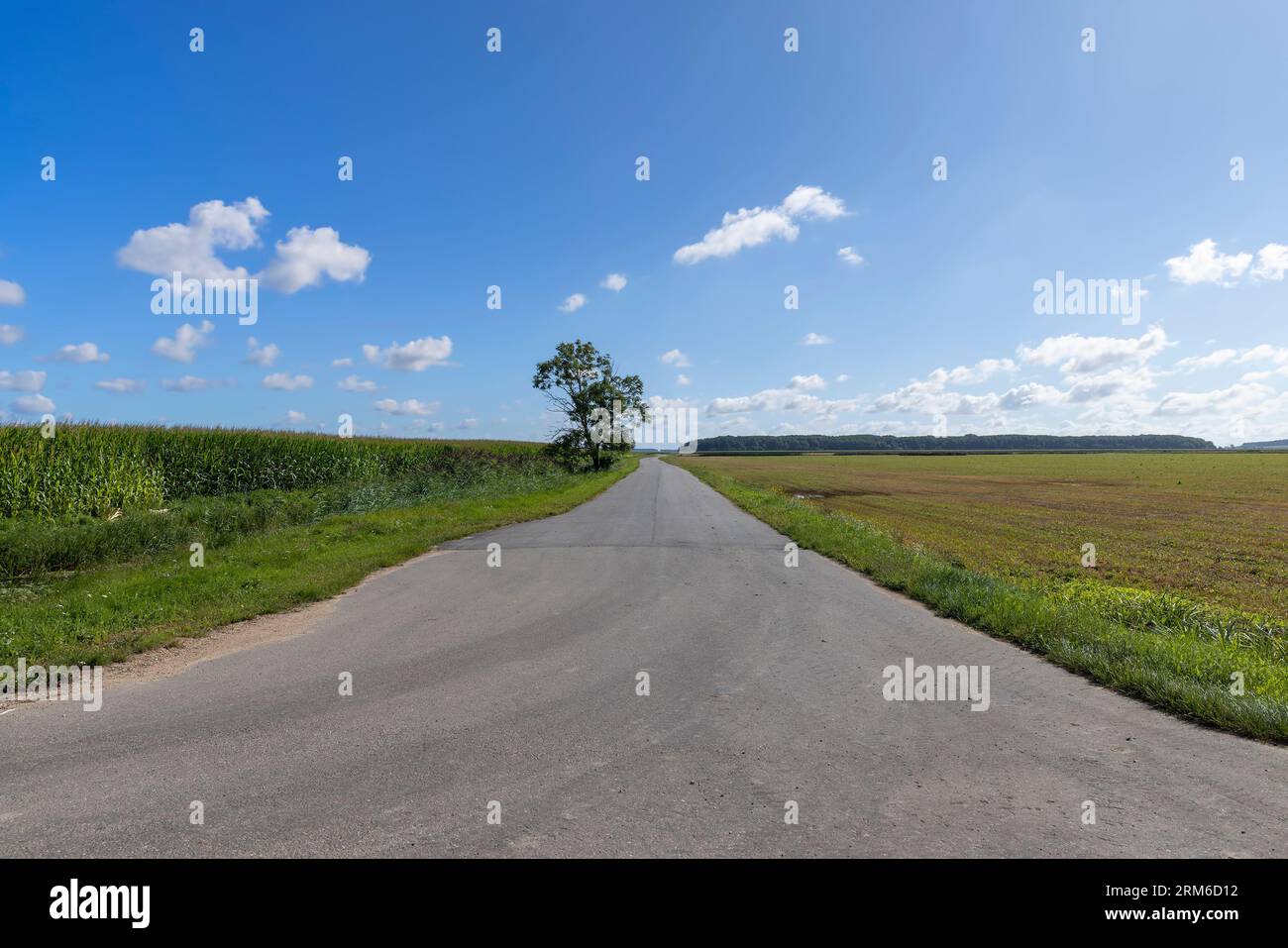 Paved highway in rural areas, part of a simple road in rural areas with ...