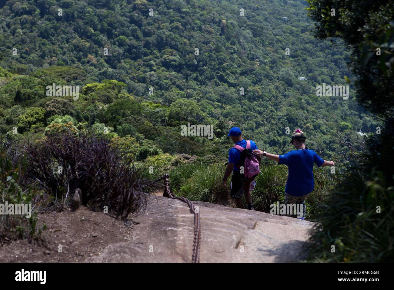 Tijuca park hike hi-res stock photography and images - Alamy