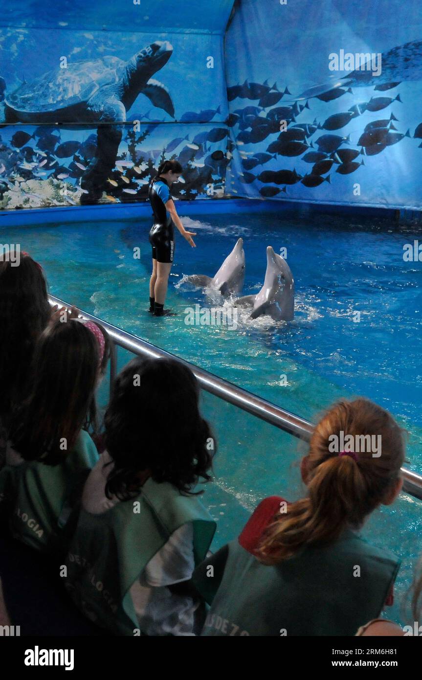 facility that hosted dolphin exhibitions for decades, Barcelona zoo ...