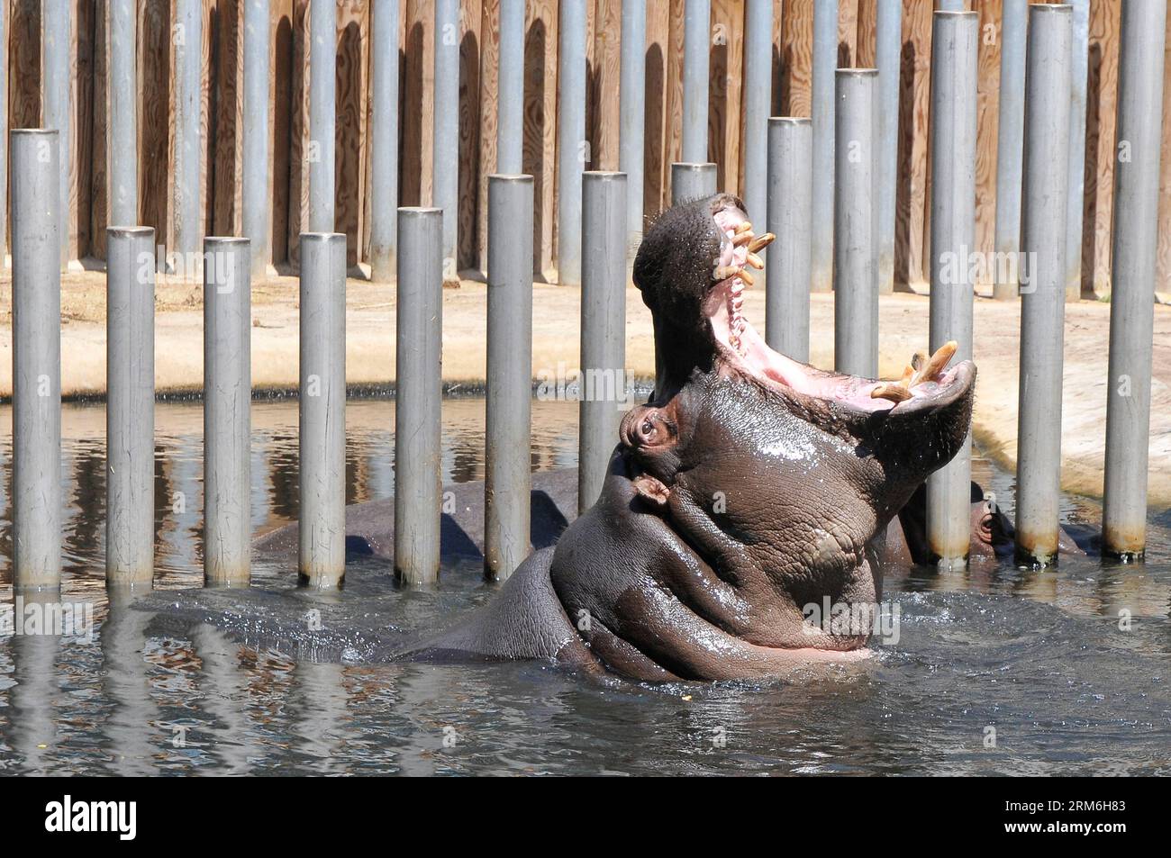 Dolphin enclosure hi-res stock photography and images - Alamy