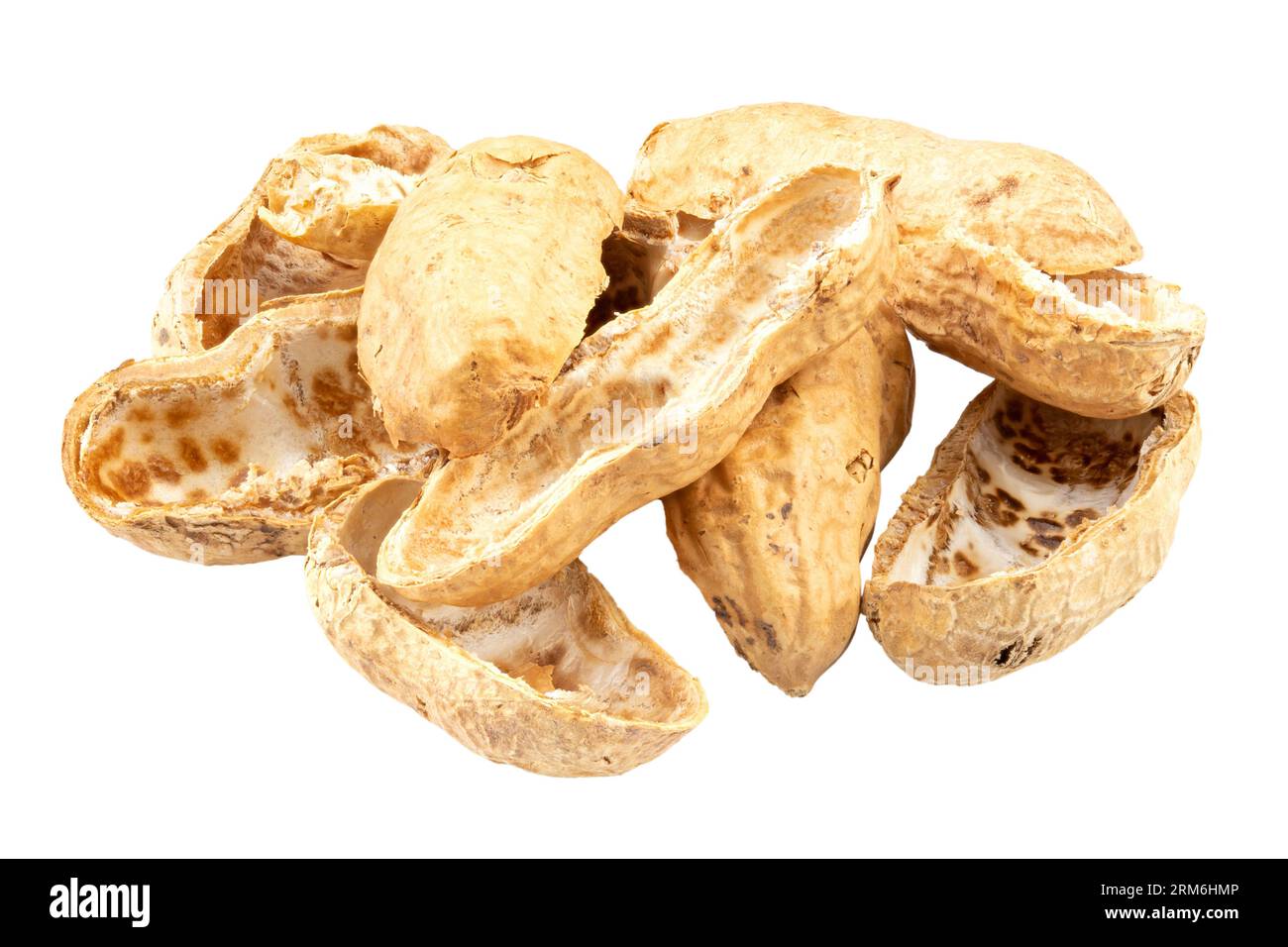 Peanut shells isolated on white background . File contains clipping ...