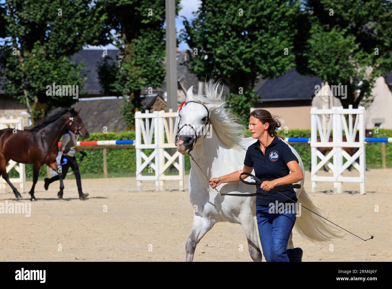 Races de poneys hi-res stock photography and images - Alamy