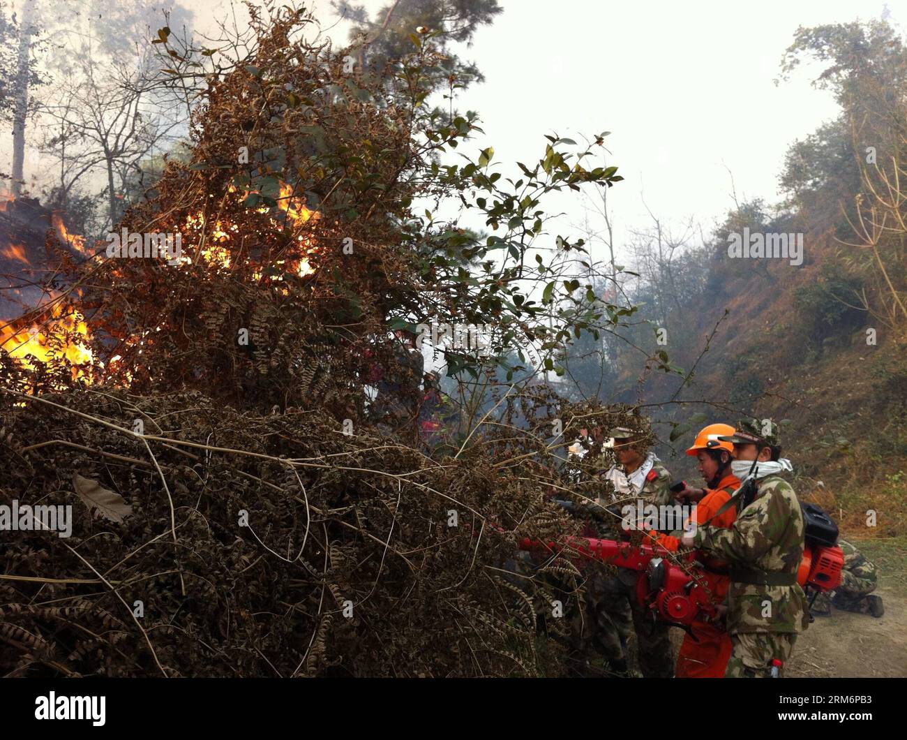 Chinaguizhouforest hi-res stock photography and images - Alamy