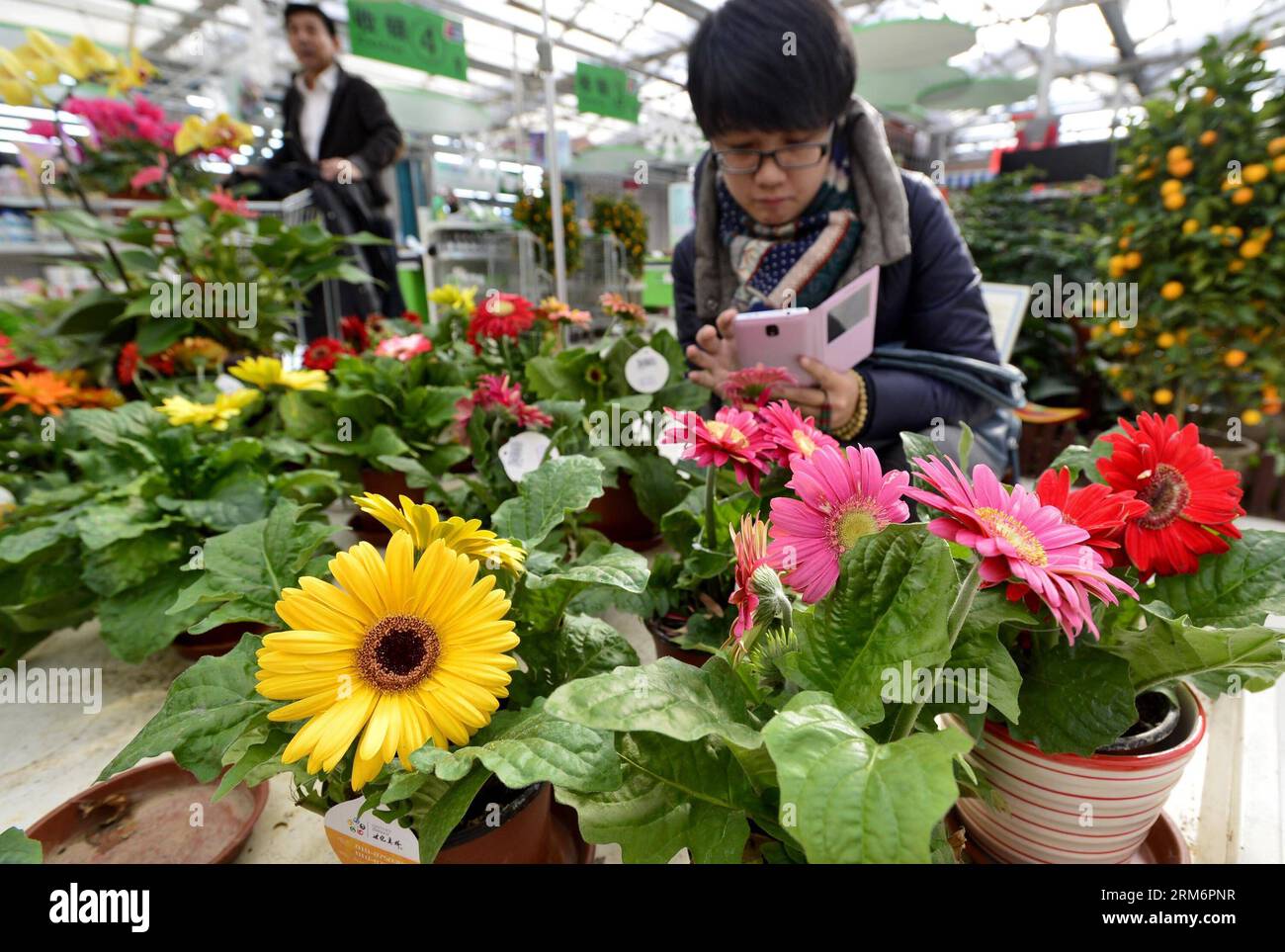 Chinabeijingflower hi-res stock photography and images - Alamy