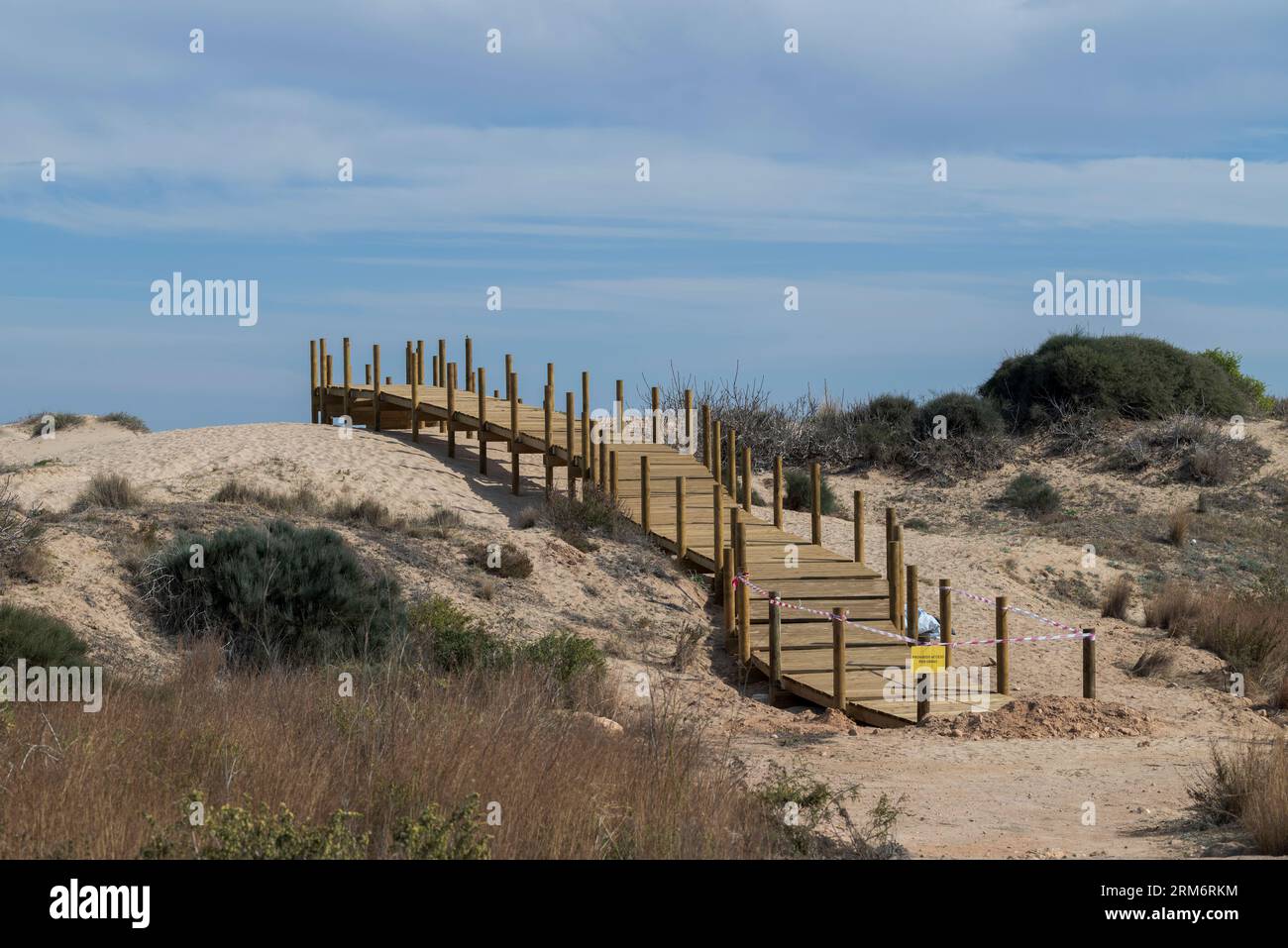 Elevated boardwalk hi-res stock photography and images - Alamy