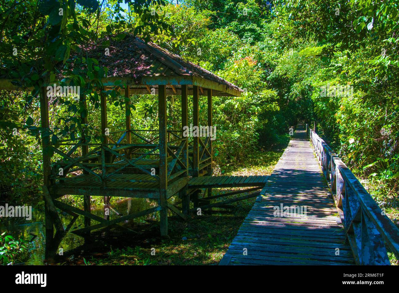 Foot trail through the Niah Caves National Park, Sarawak, Malaysia ...