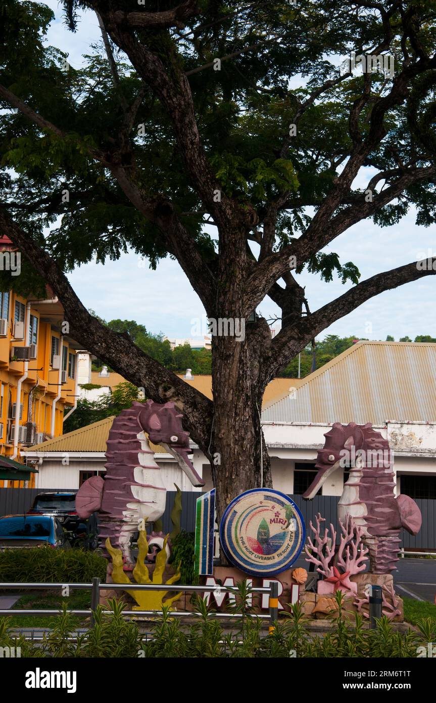 Sarawak miri public park hi-res stock photography and images - Alamy